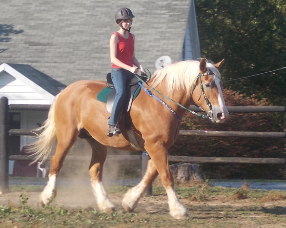 American Sugarbush Harlequin Draft Association