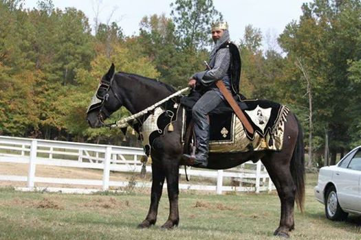 American Sugarbush Harlequin Draft Association