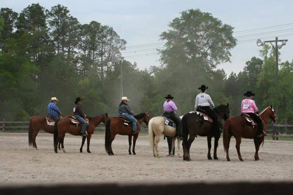 American Sugarbush Harlequin Draft Association