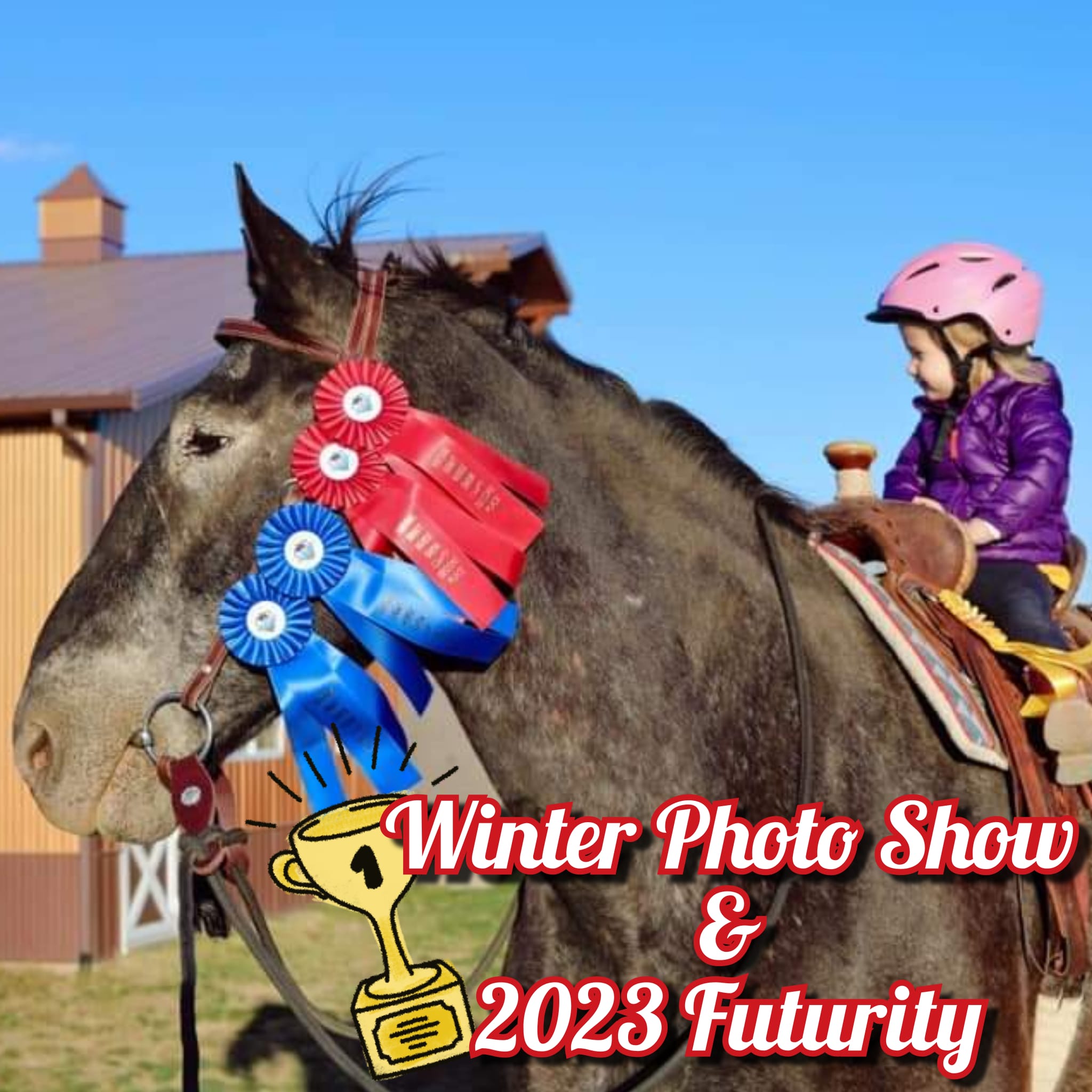 American Sugarbush Harlequin Draft Association